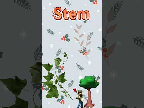 SOF Olympiad For Class 1 | Plants #shorts #youtubeshorts #shortsvideo #shortsfeed #science