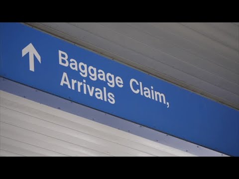 Exciting News for Lansing Travelers: Non-Stop Flights to Tampa Coming Soon