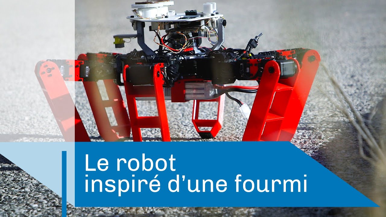 Documentaire | AntBot : le robot fourmi