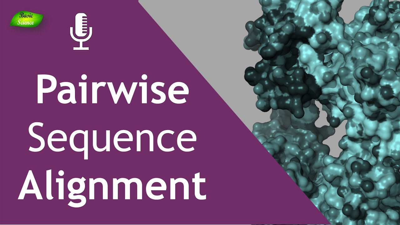 Pairwise Sequence Alignment of Proteins using EMBOSS Needle | Basic Science Series