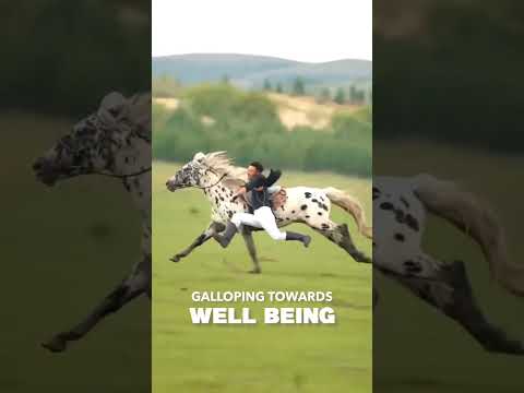 Galloping towards well-being | Dr Pal