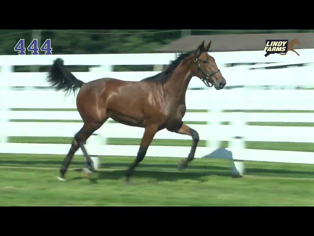 View From Above (US) | SRF Stable