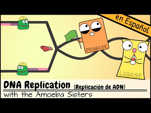 Replicación de ADN