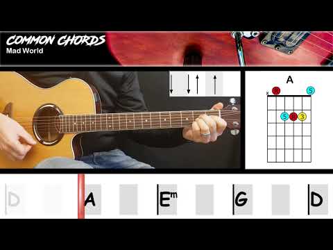 Mad World - Tears For Fears | EASY GUITAR CHORDS | Common Chords