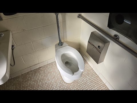 [253] American Standard Cadet FV Toilet in VU Furman Hall
