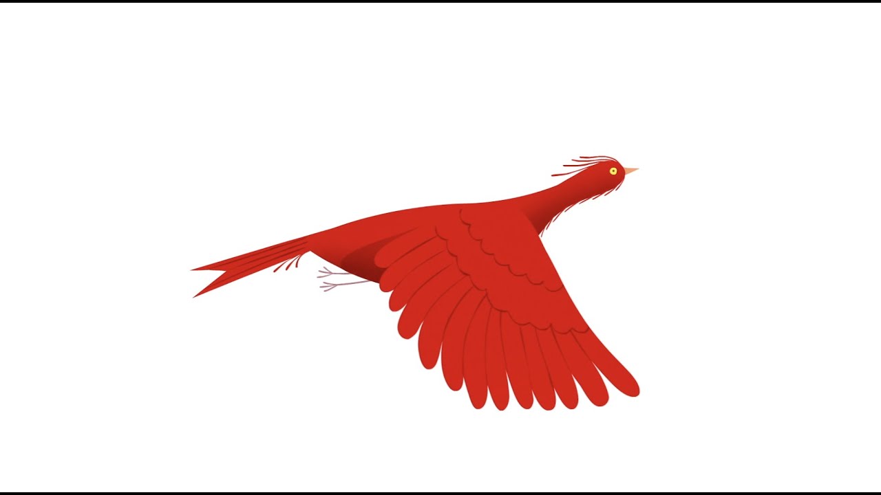 Flying Eye Books — Beautiful Birds — Book Trailer