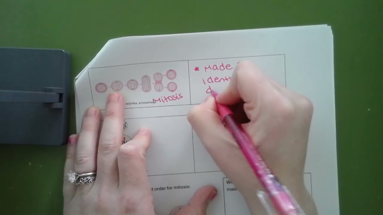 Genetics Exam 1 Study Guide