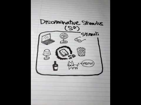 ABA Terminology: What is a discriminative stimulus (SD)?