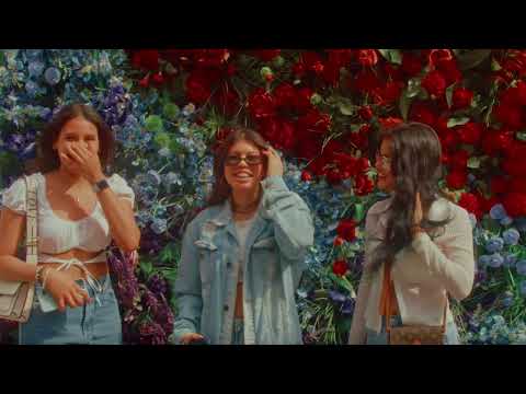 Five For Friday – 12th May 2023 – TURTLE TEMPO