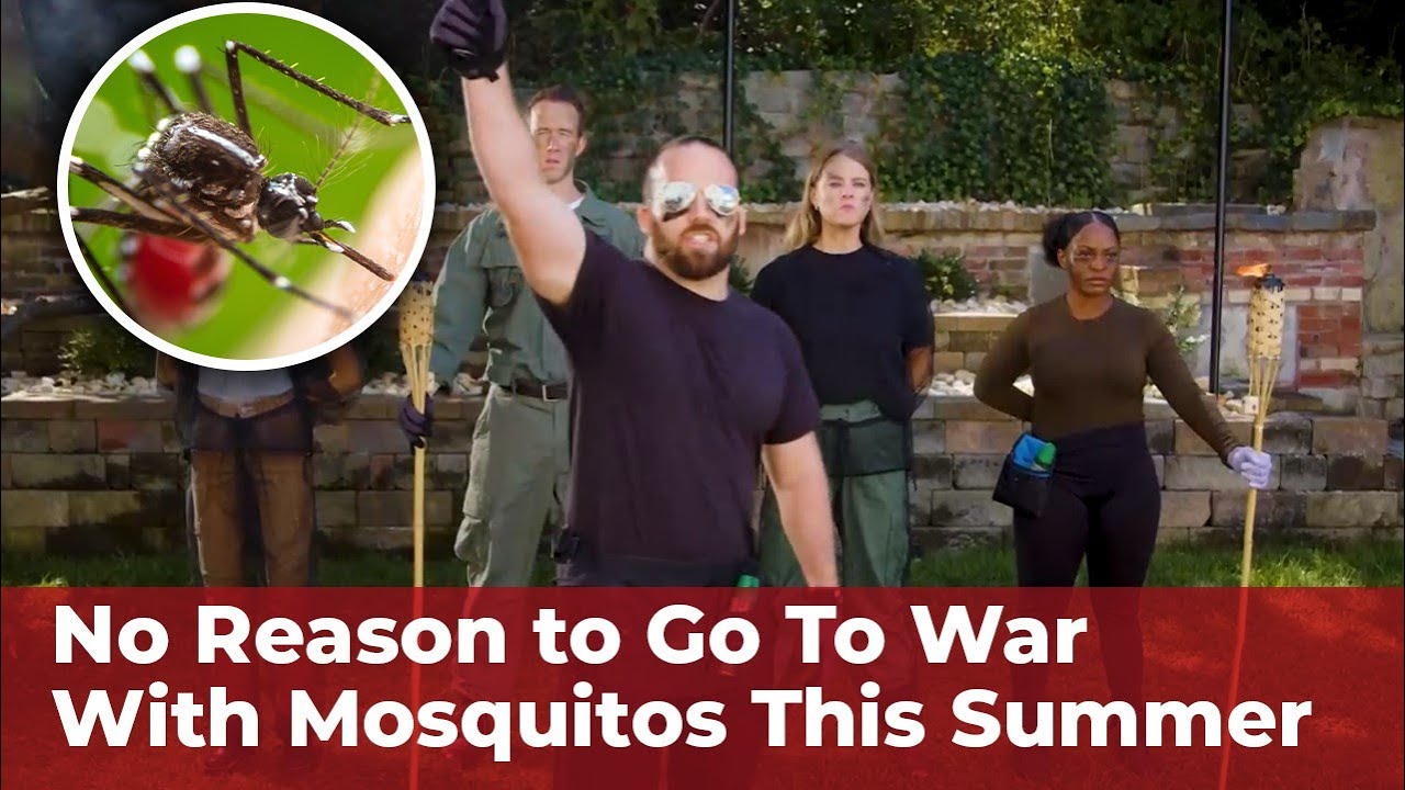 Battling Mosquitoes? Take Back Your Yard With LastBite