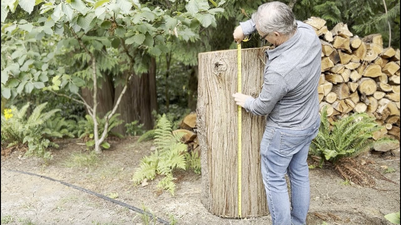 How to make a log beehive It's easy-peasy #beekeeping #beekeepers