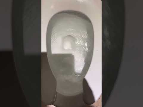 Kohler Wellworth PL Toilet on Flushometer At Olive Garden