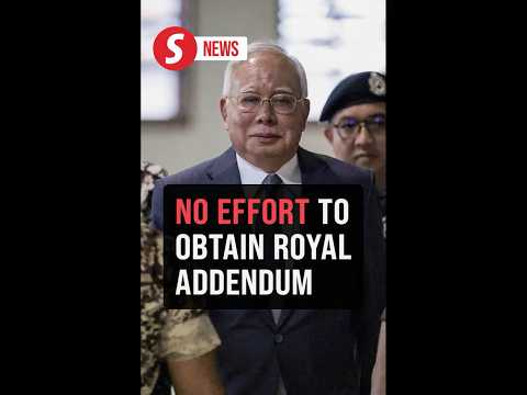 Najib did not make reasonable effort to obtain 'royal addendum', apex court hears