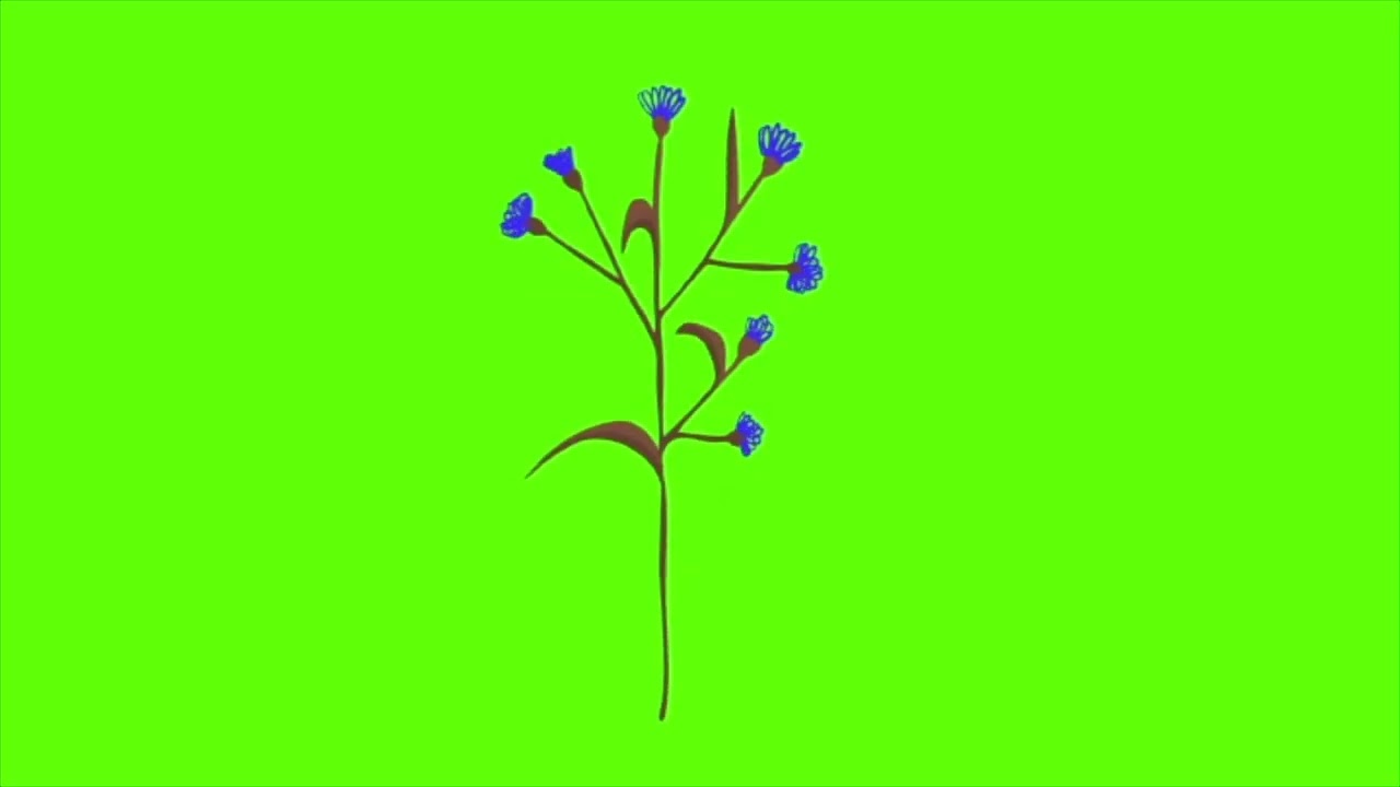 Blue Cartoon Flower Branch Animation – Green Screen