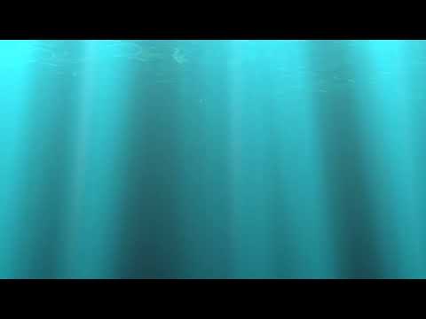 Benjamin Staern – In paradisum: song for the people of Ukraine (2022)
