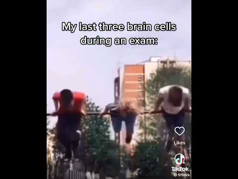 My last 3 brain cells during an exam