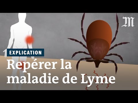 Maladie de Lyme : comment la repérer ?