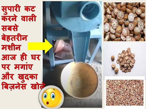 Supari Cutting Machine - Areca Nut Cutting Machine Latest Price ...