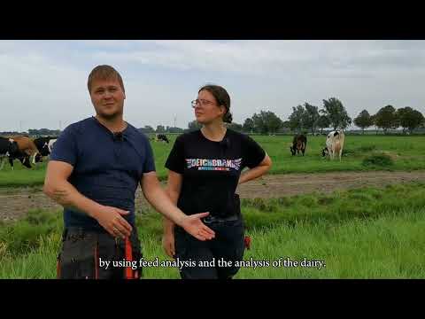 Grazing4AgroEcology | Feeding management & grass from salt marshes