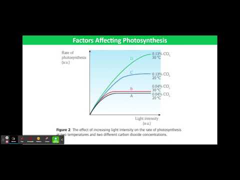 Factors affecting Photosynthesis