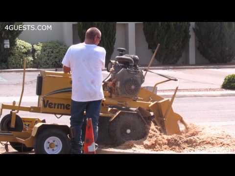 VERMEER STUMP GRINDER SC252 in ACTION