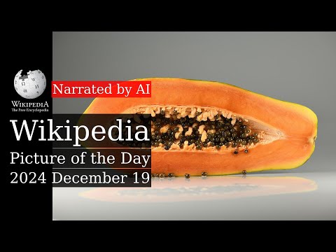 Wikipedia Picture of the Day: 2024-12-19 - Papaya (Narrated by Joanna)