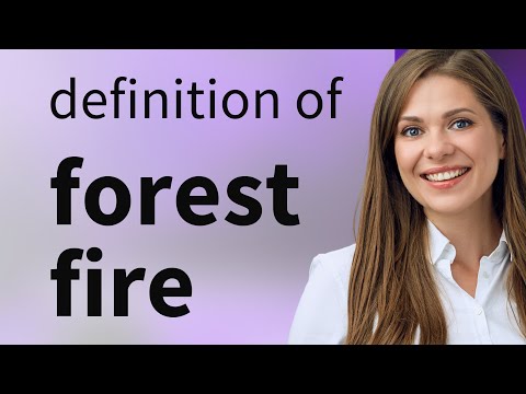 Forest fire • what is FOREST FIRE meaning