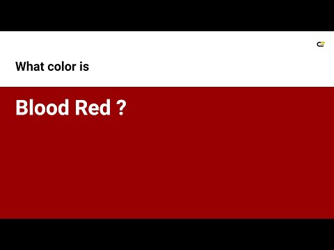 Blood Red color #980002 hex color - Red color - Cool color 980002