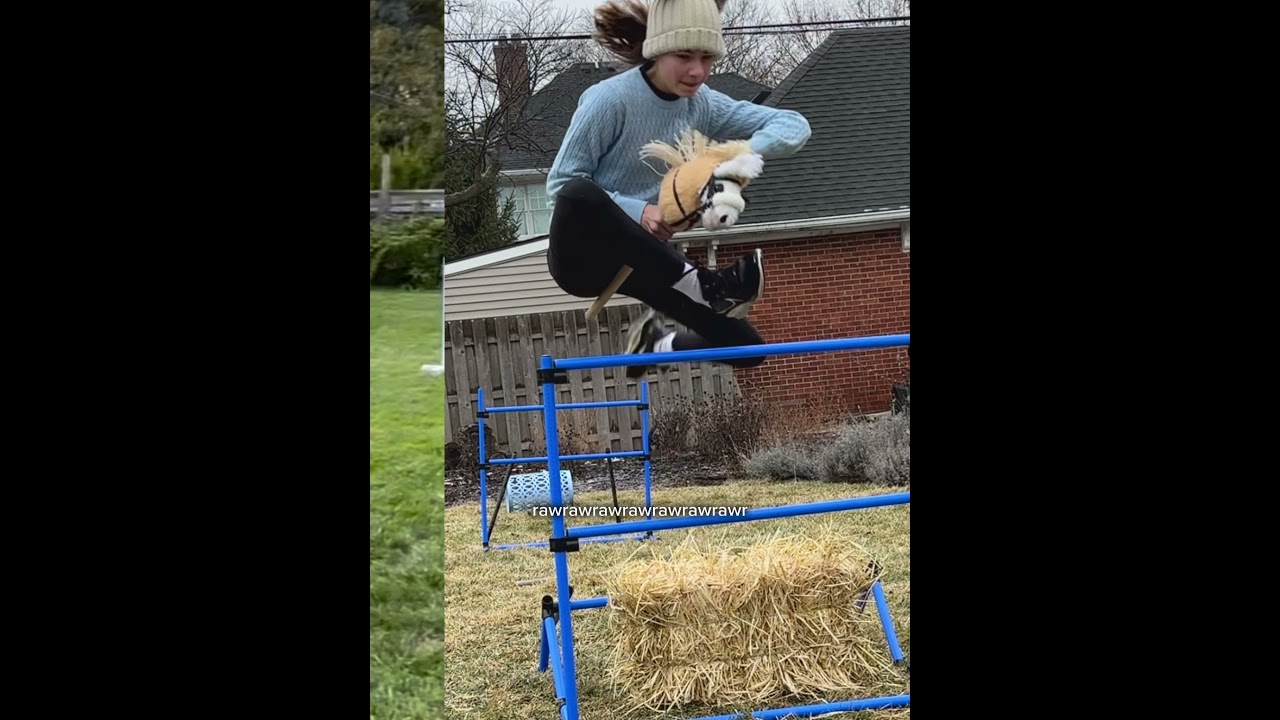 Have you seen part one of the form tutorial? 🤭 #hobbyhorse #hobbyhorsing #kht #hh