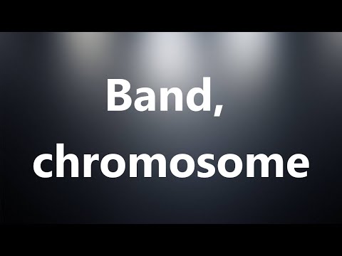 Band, chromosome - Medical Meaning and Pronunciation