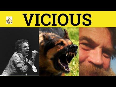 ๐ต Vicious Viciously Viciousness - Vicious Meaning - Viciously Examples - Viciousness Defined