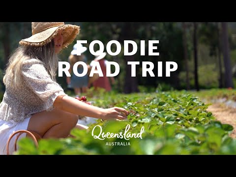 Must-do foodie road trips in Noosa