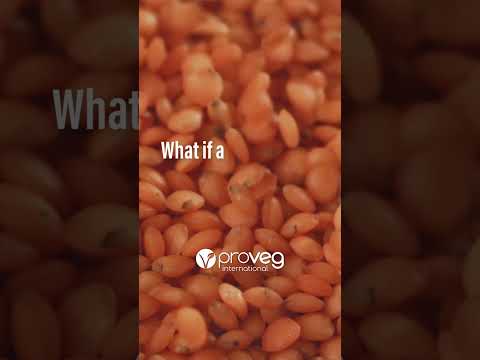 What is a complete protein? 🌱🧬