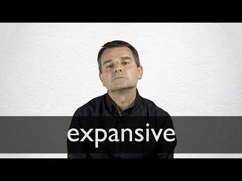 EXPANSIVE - 含义与翻译 | 柯林斯英语词典