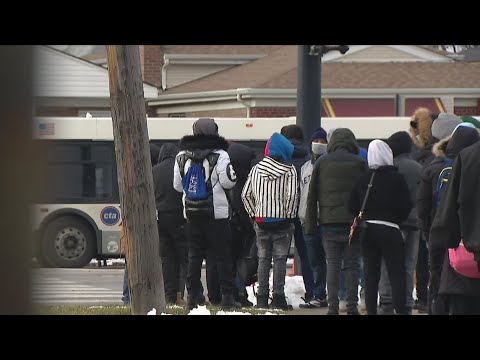 Appointments to be required for new Illinois DMV Skip-the-Line Program