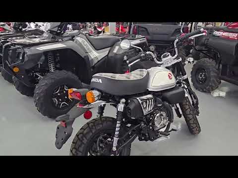 2024 Honda Monkey!