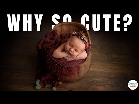 Kindchenschema: Why Do We Find Babies Cute?