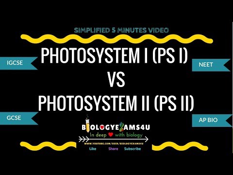 What are Photosystems? Difference between Photosystem I and Photosystem II (PS I vs PS II)