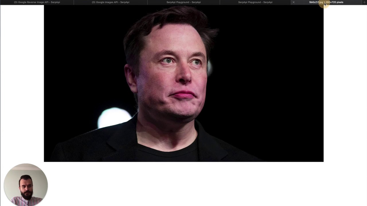 Google Reverse Image API