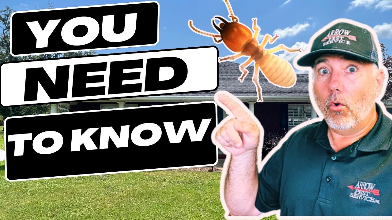 WHAT YOU NEED TO KNOW ABOUT TERMITES!