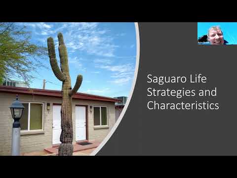 How Old is That Saguaro? Lunch and Learn Oct 13 2022