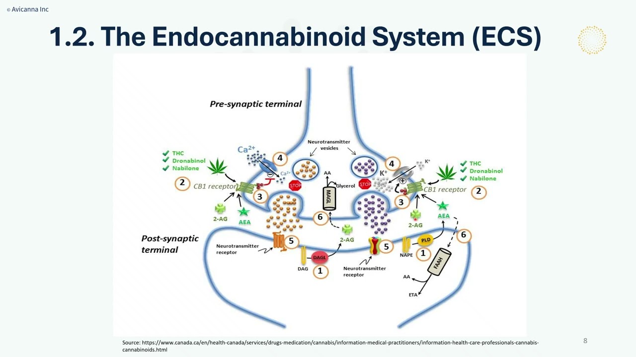 Module 1 Introduction to Medical Cannabis
