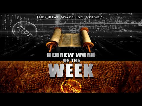 Hebrew Word of The Week - Anav
