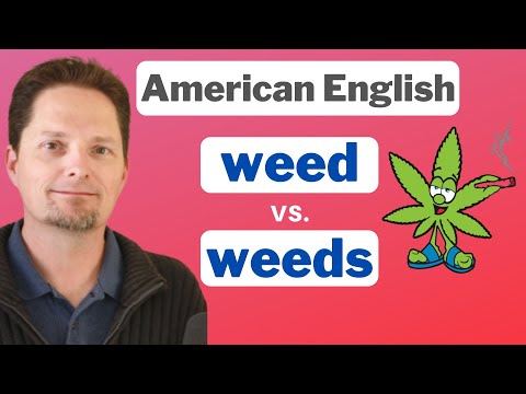 ENGLISH VOCABULARY / WEED vs. WEEDS / REAL-LIFE AMERICAN ENGLISH