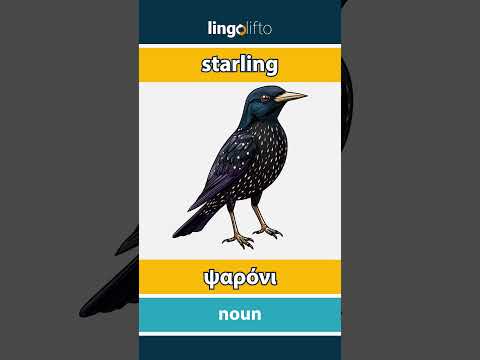🇬🇧🇬🇷 starling - ψαρόνι : learn English : ας μάθουμε αγγλικά : vocabulary builder