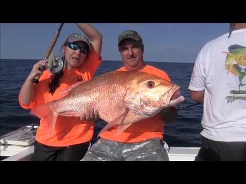 Largest Red Snapper On Record : Top Picked from our Experts