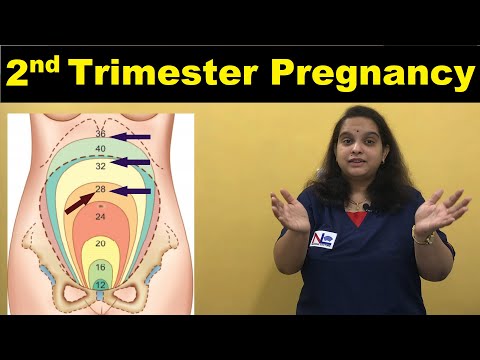 Second Trimester of Pregnancy | Signs and Symptoms of Pregnancy | Nursing Lecture