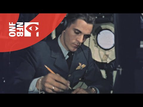 Aircrew