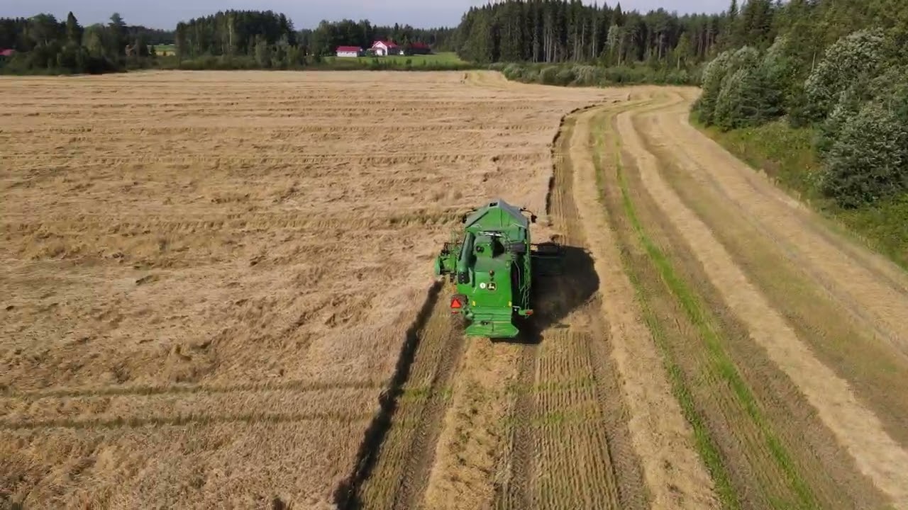 Ohran puinti 21,8,2022