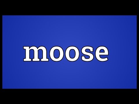Moose Meaning